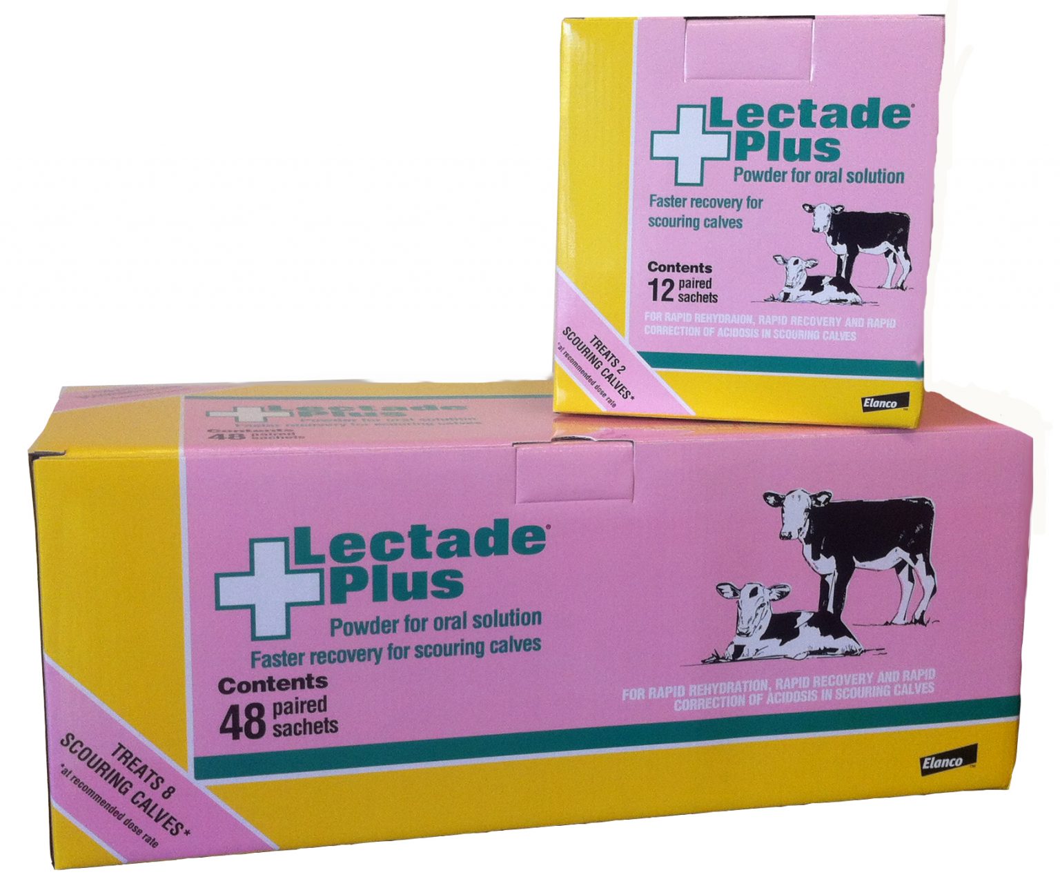 Lectade Plus (48 Sachets) - FRSDirect